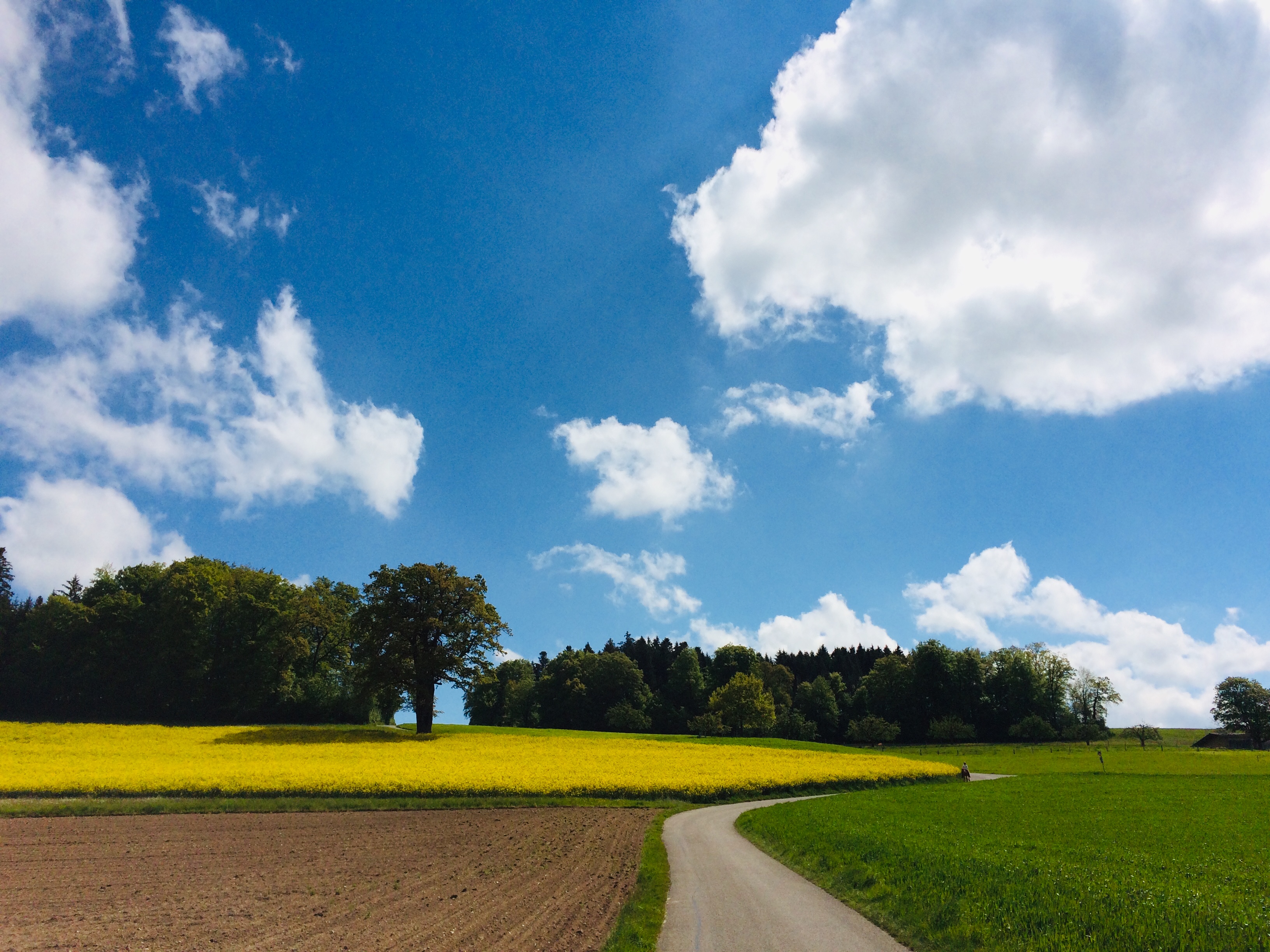 Konsequent – wortimpuls